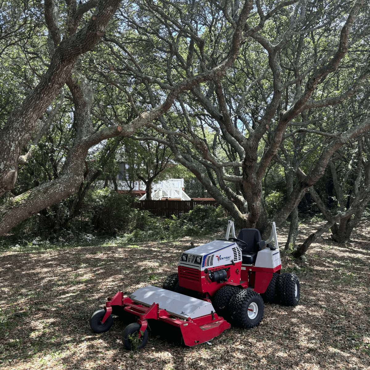 Tree Service Corolla, NC | Albemarle Landscapes